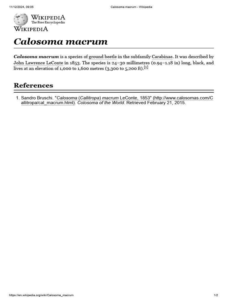 Calosoma macrum - Wikipedia | PDF | Organisms | Scientific Classification