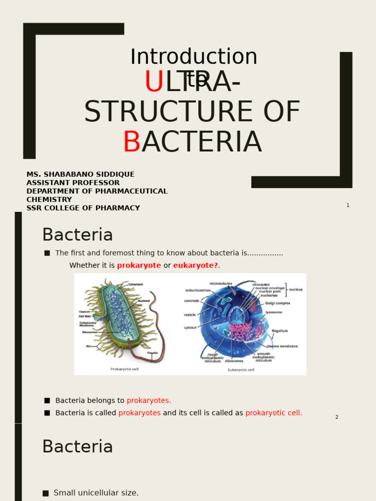 Ultra-Structure of Bacteria | PDF | Cell (Biology) | Cell Membrane