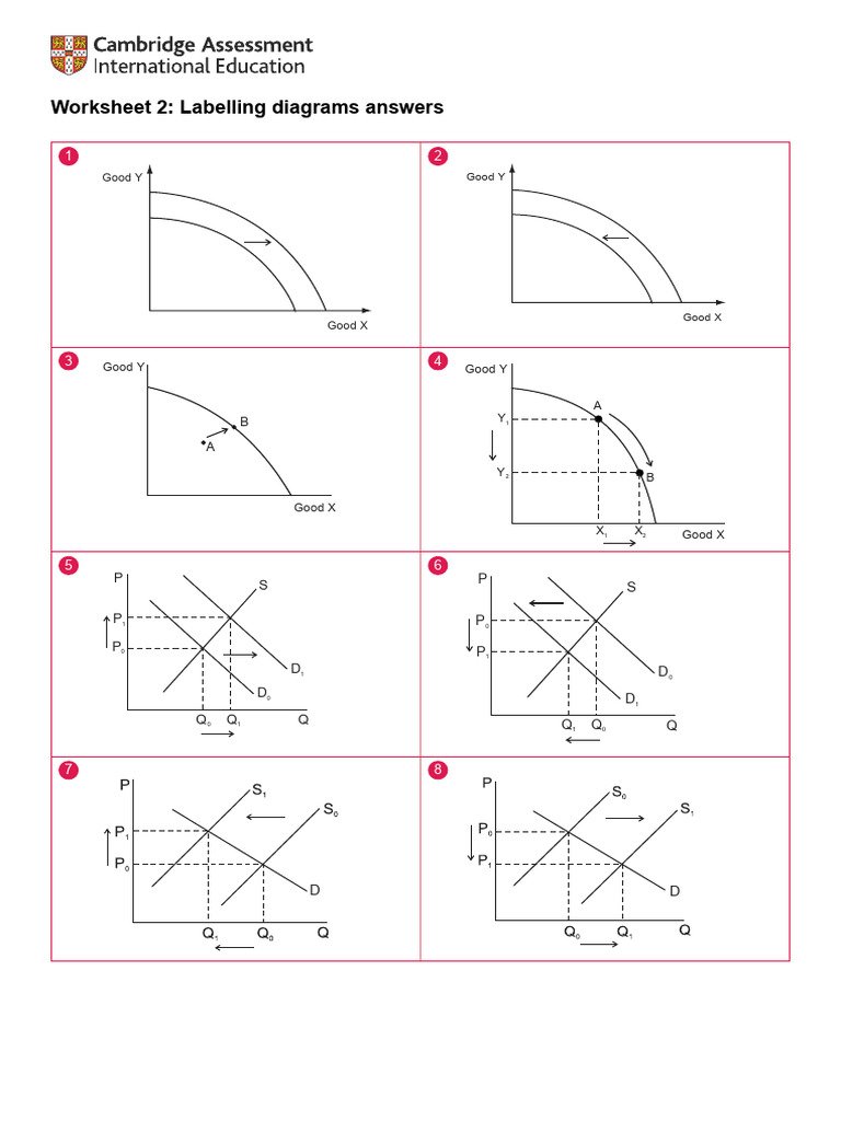 AO2 Worksheet 2 Labelling Diagrams Answers | PDF