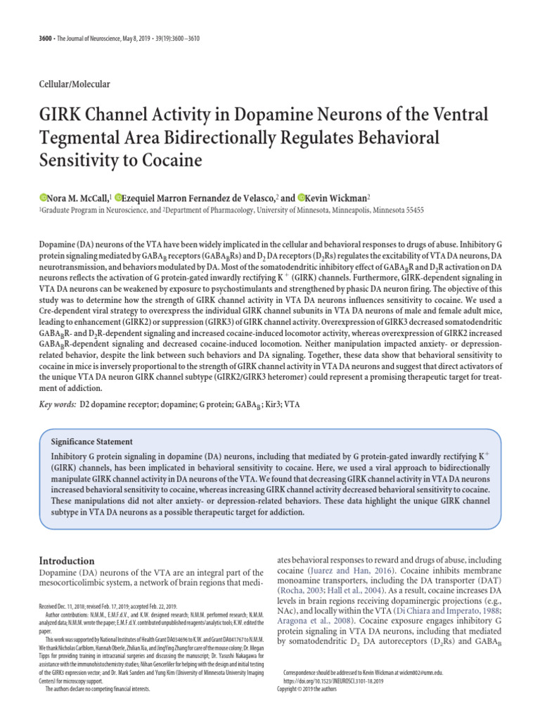 GIRK Channel Activity in Dopamine Neurons of The Ventral | PDF ...