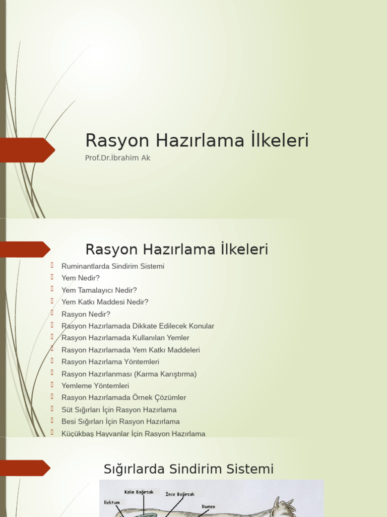 RASYON HAZIRLAMA İLKELERİ - Kopya | PDF