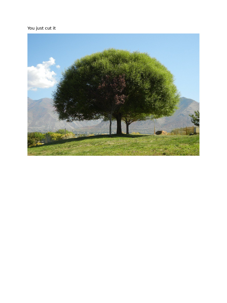 How To Cut A Tree | PDF