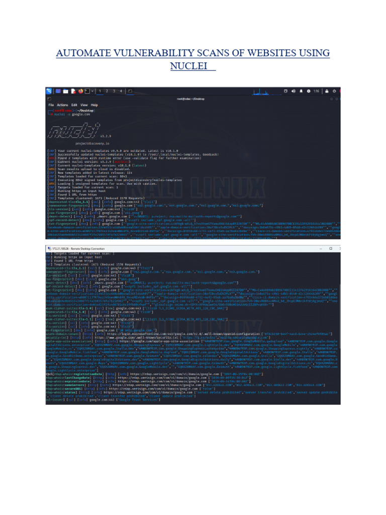Automate Website Vulnerability Scans | PDF