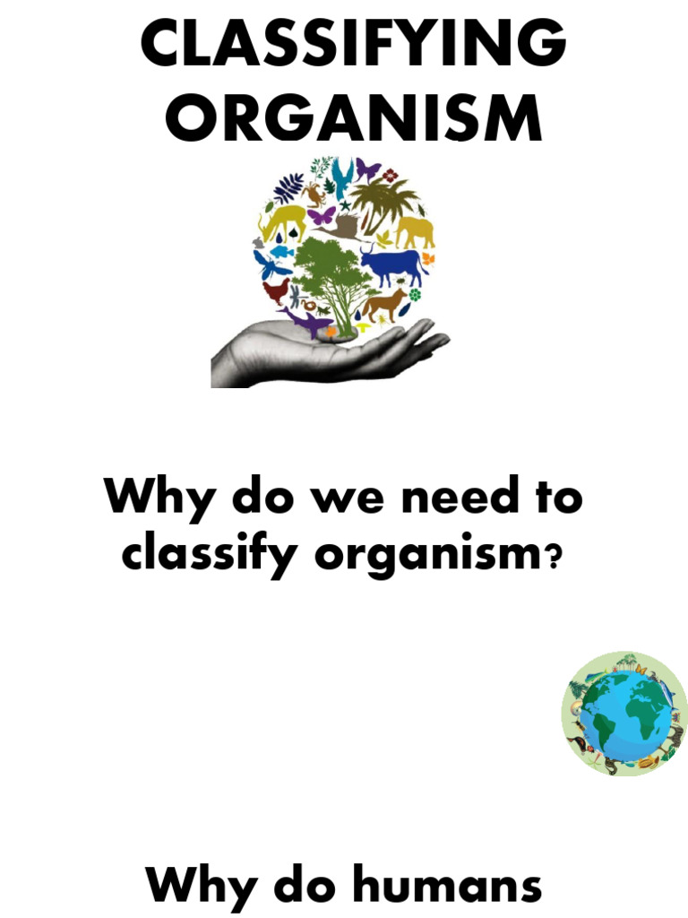 Lesson 3 Classifying Organism Copy | PDF | Archaea | Organisms