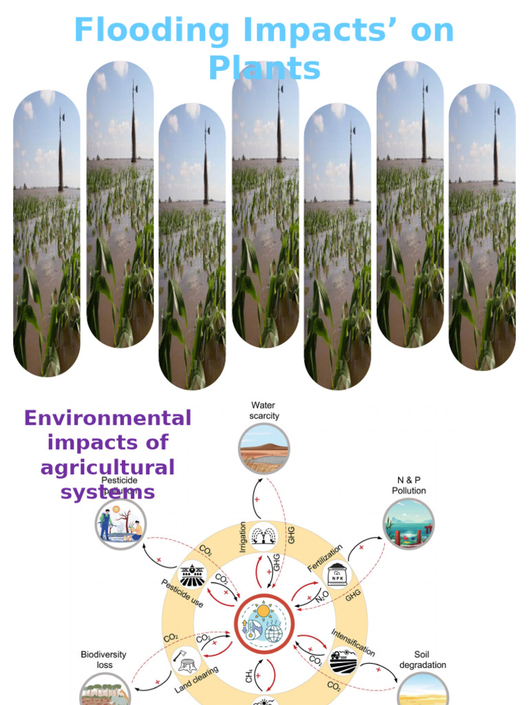 Presentation_Ashim Kumar Das | PDF