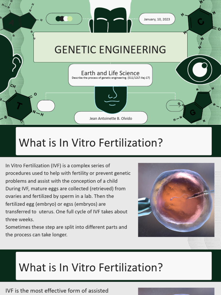 EALS Lesson 4 Genetic Engineering | PDF | Genetic Engineering | In ...