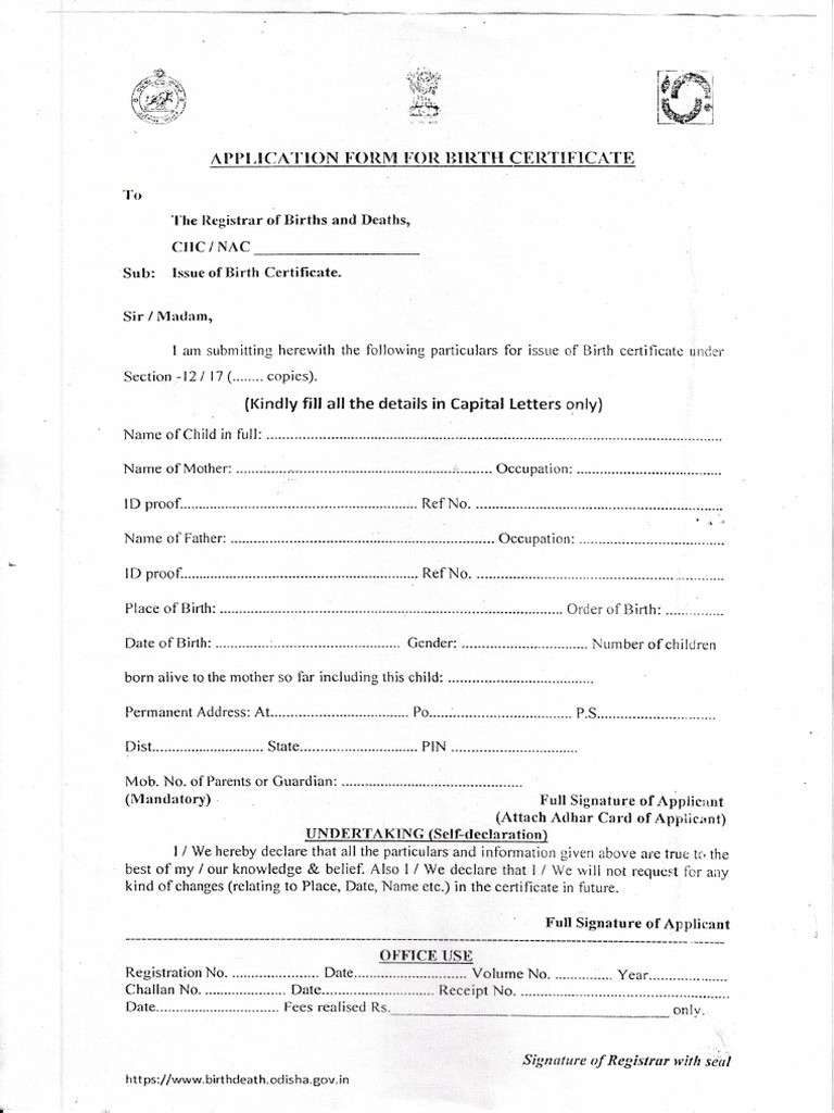 Birth Form | PDF | Family