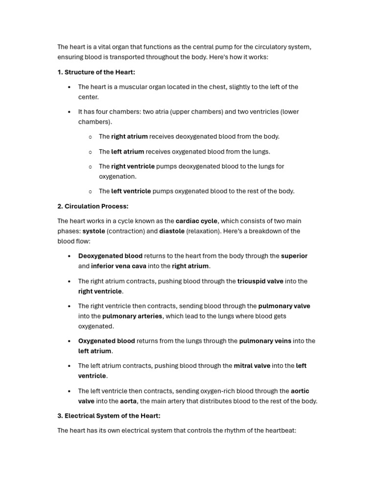 Structure of the Heart | PDF | Heart | Atrium (Heart)