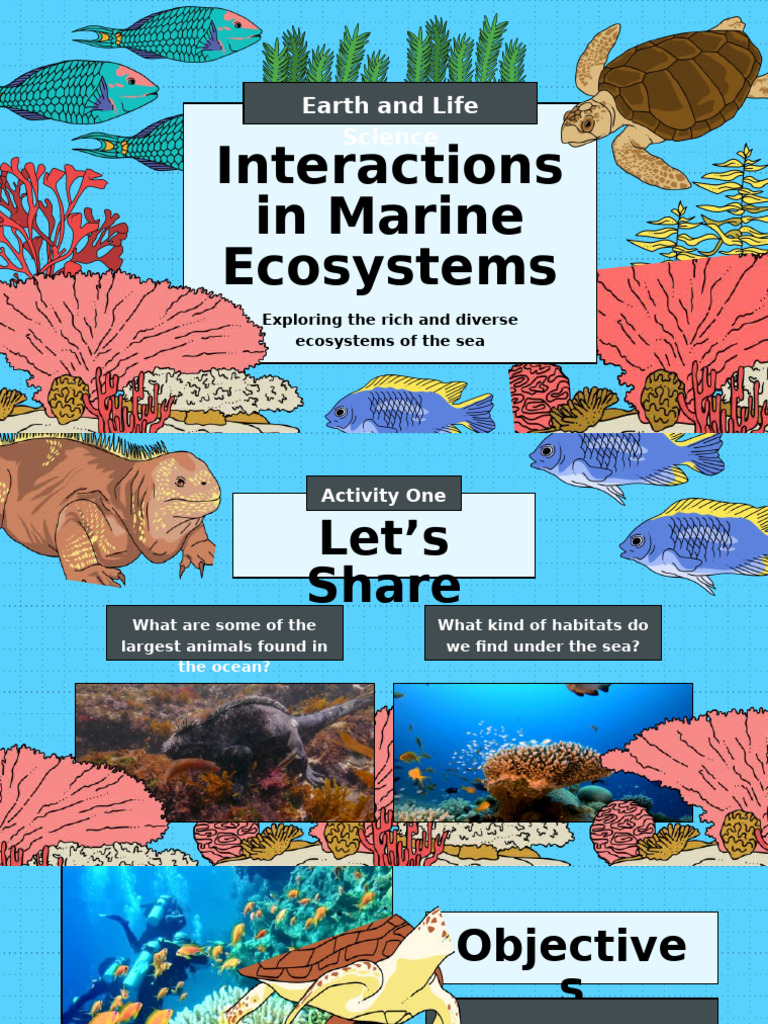 Marine Ecosystem | PDF | Oceans | Ecosystem