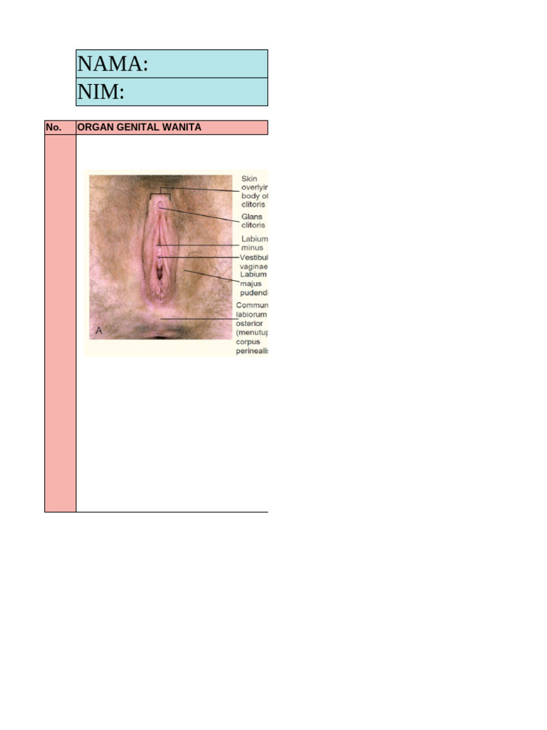 030 - Fathan Akbar Al Bahri - DTK PA EnR | PDF