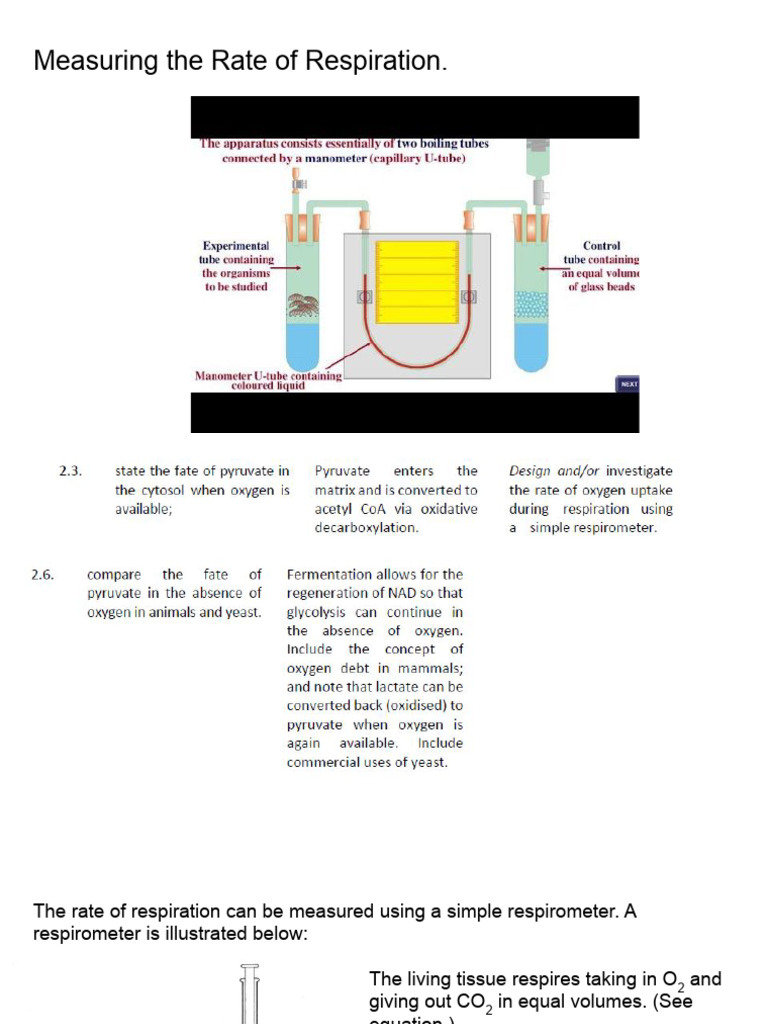 Measuring The Rate of Respiration. 2 | PDF | Cellular Respiration ...