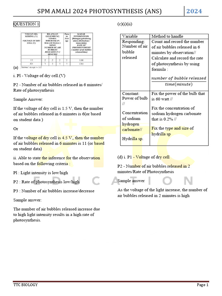 BIO 2024 P3 ANS (Student) | PDF | Photosynthesis | Carbon Dioxide