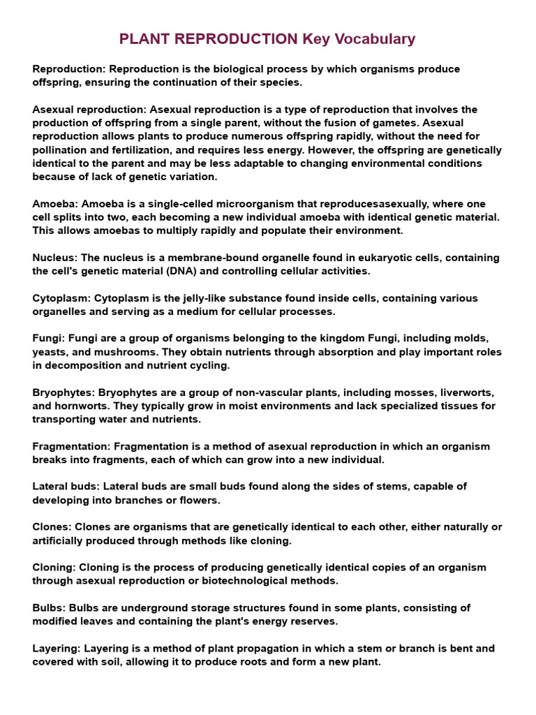 Key Vocabulary Resource | PDF | Flowers | Pollination