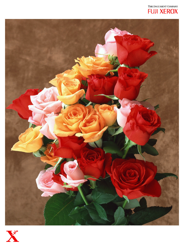 Fuji Xerox DC-IV C2260 Sample Print | PDF