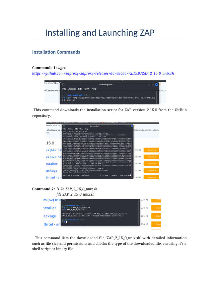 ZAP Installation and Launch Report | PDF