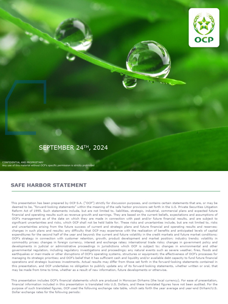 OCP - 2Q 1H-2024 Earning Presentation - 0 | PDF | Risk | Economies