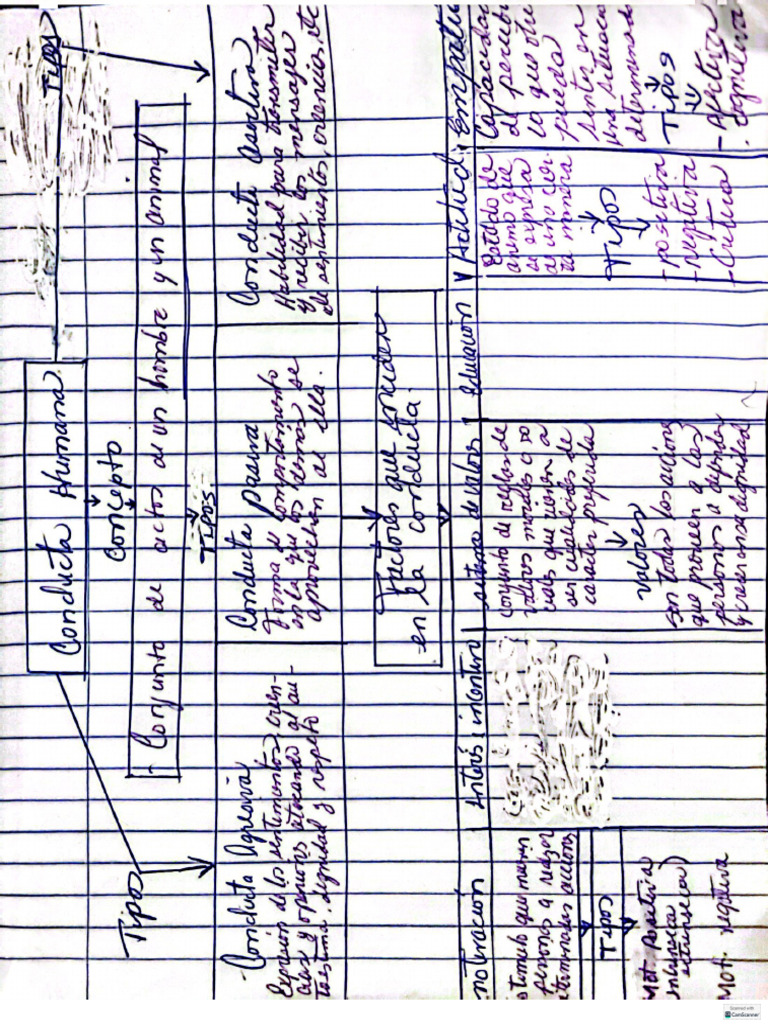 Tarea semana 6 la conducta | PDF