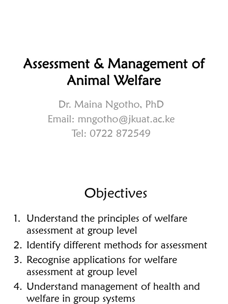 Group-Level Animal Welfare Assessment | PDF | Animal Welfare | Cattle
