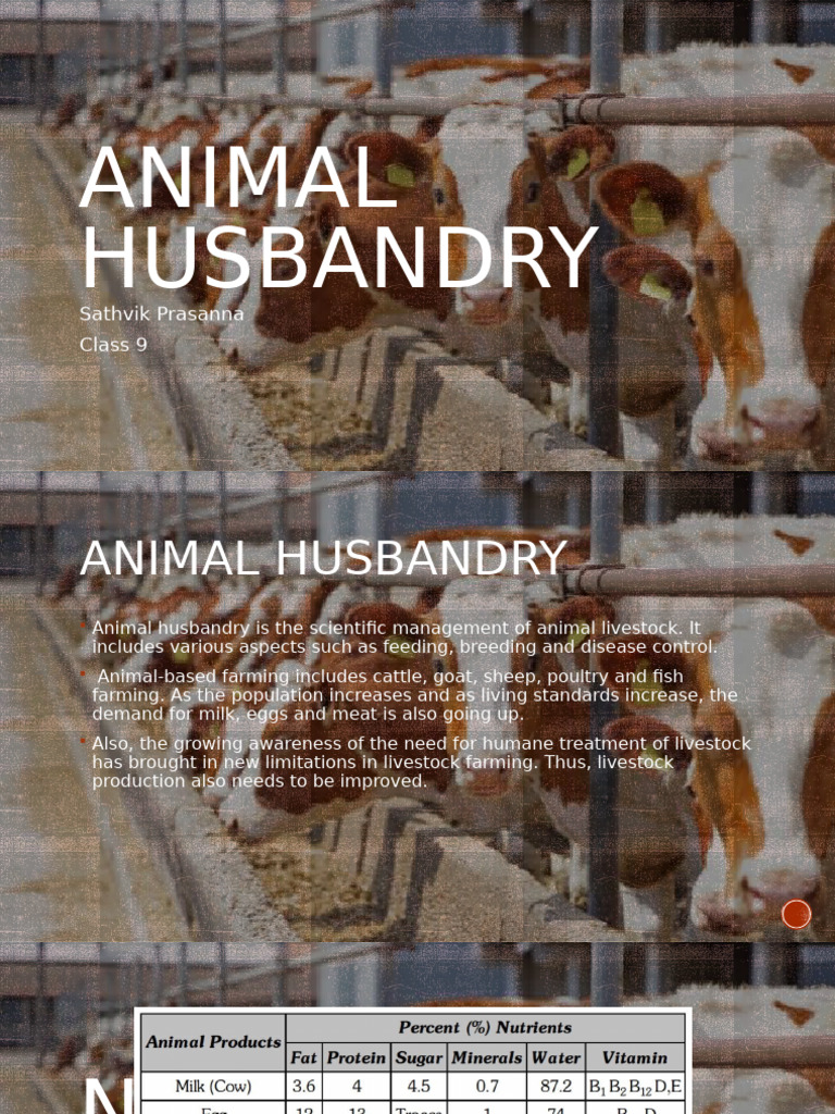 Sathvik Prasanna Biology | PDF | Livestock | Cattle