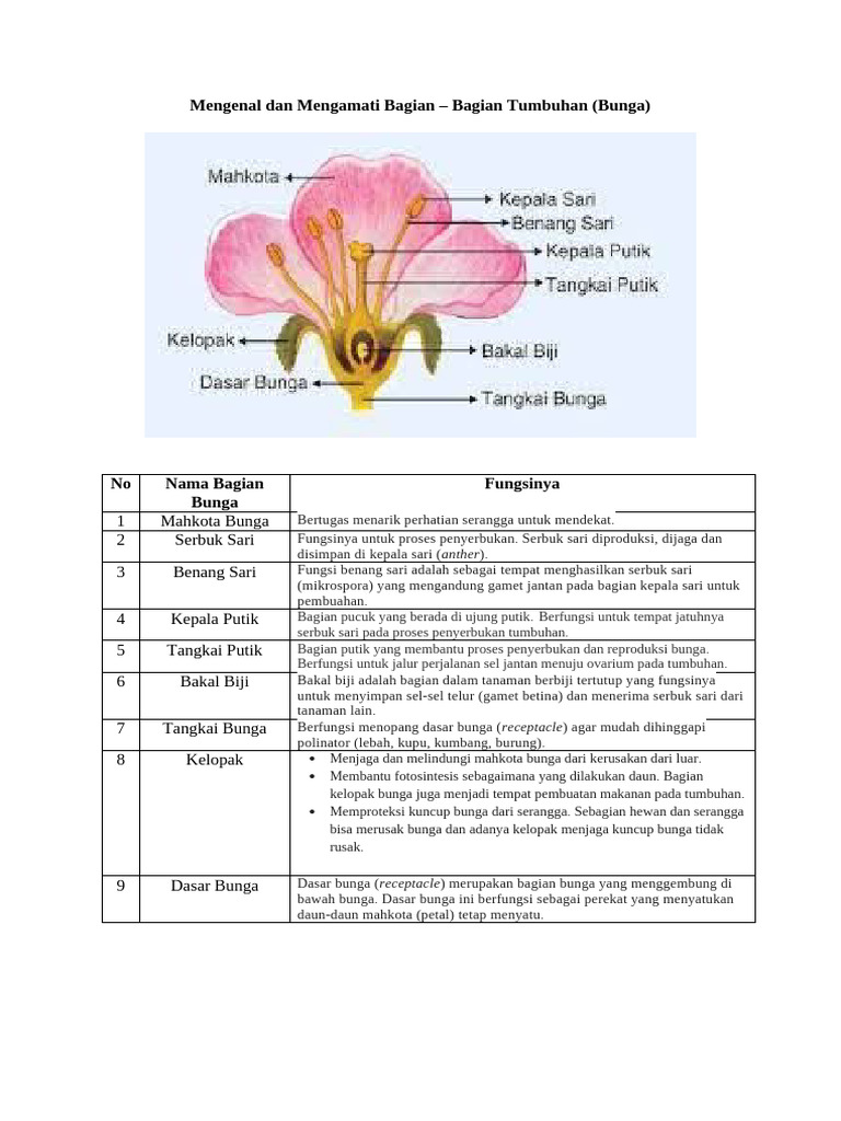 Bagian-Bagian Bunga dan Fungsinya | PDF