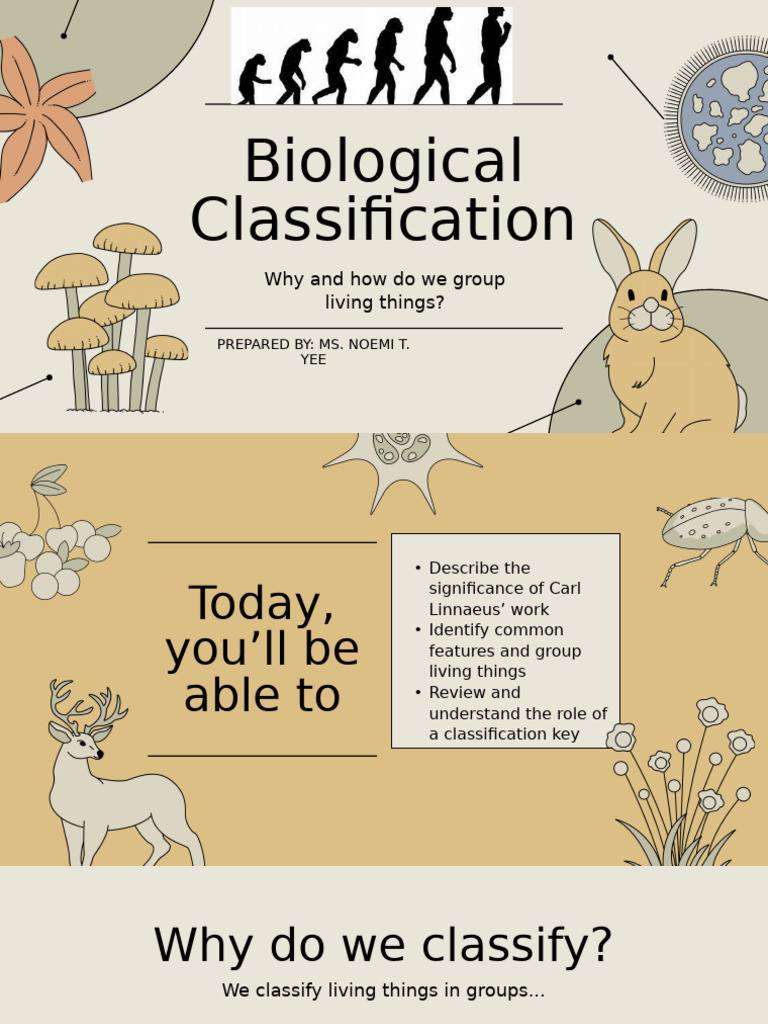 Biological Classification of Human Evolution | PDF | Homo | Hominidae