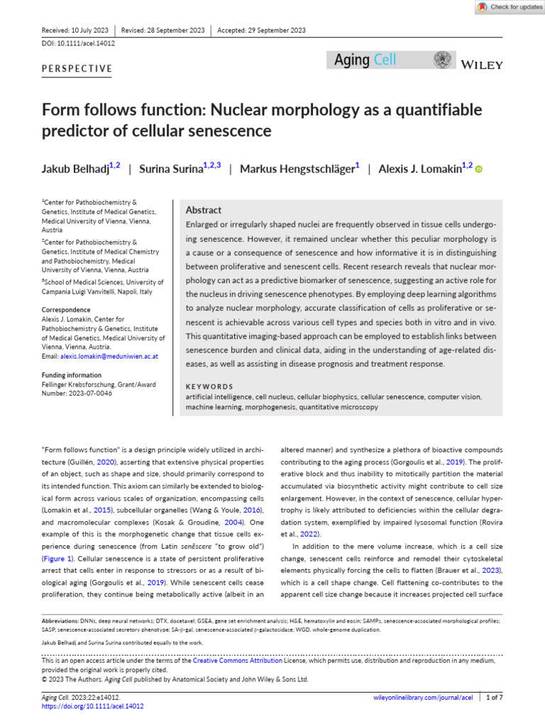 Aging Cell - 2023 - Belhadj - Form Follows Function Nuclear Morphology As A Quantifiable ...