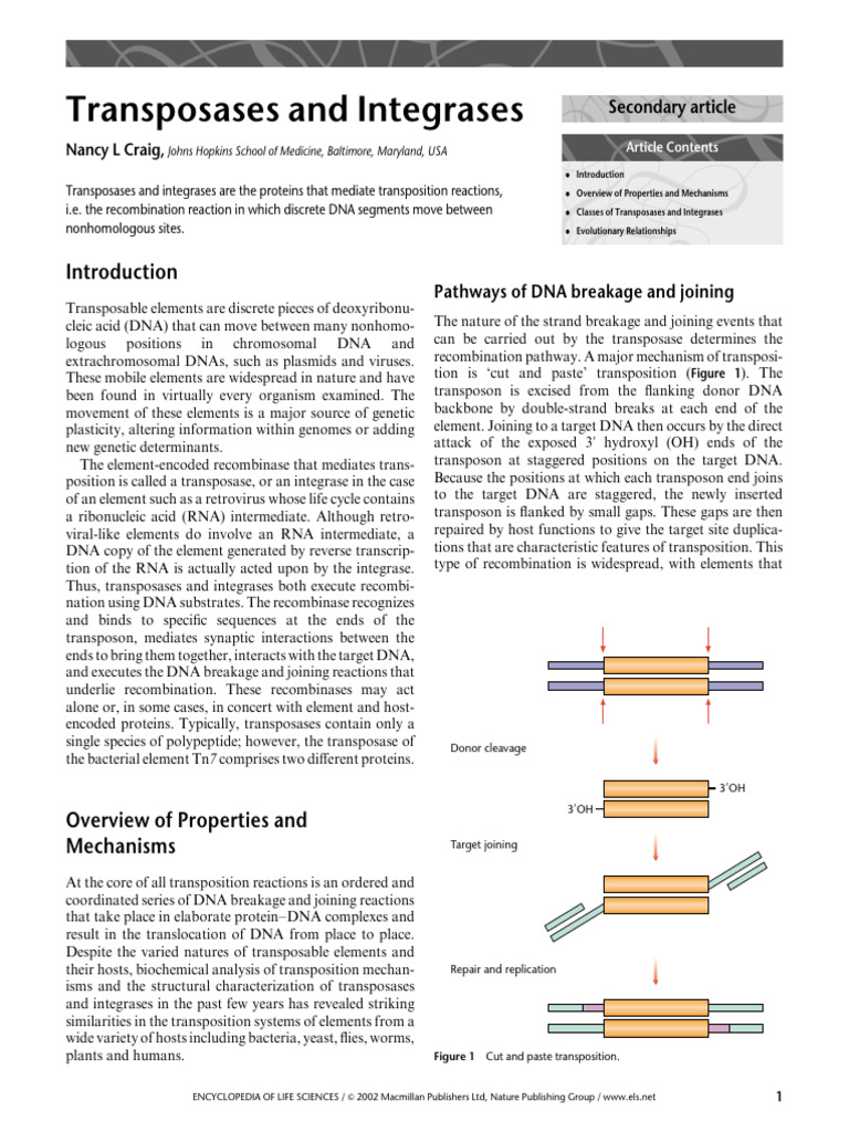 transposases_intergrases | PDF | Transposable Element | Dna