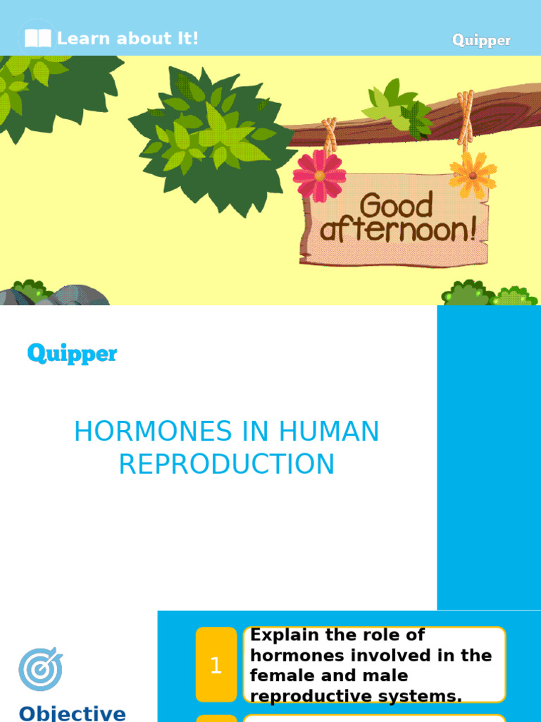 Hormones in Human Reproduction | PDF | Menstrual Cycle | Endocrine System