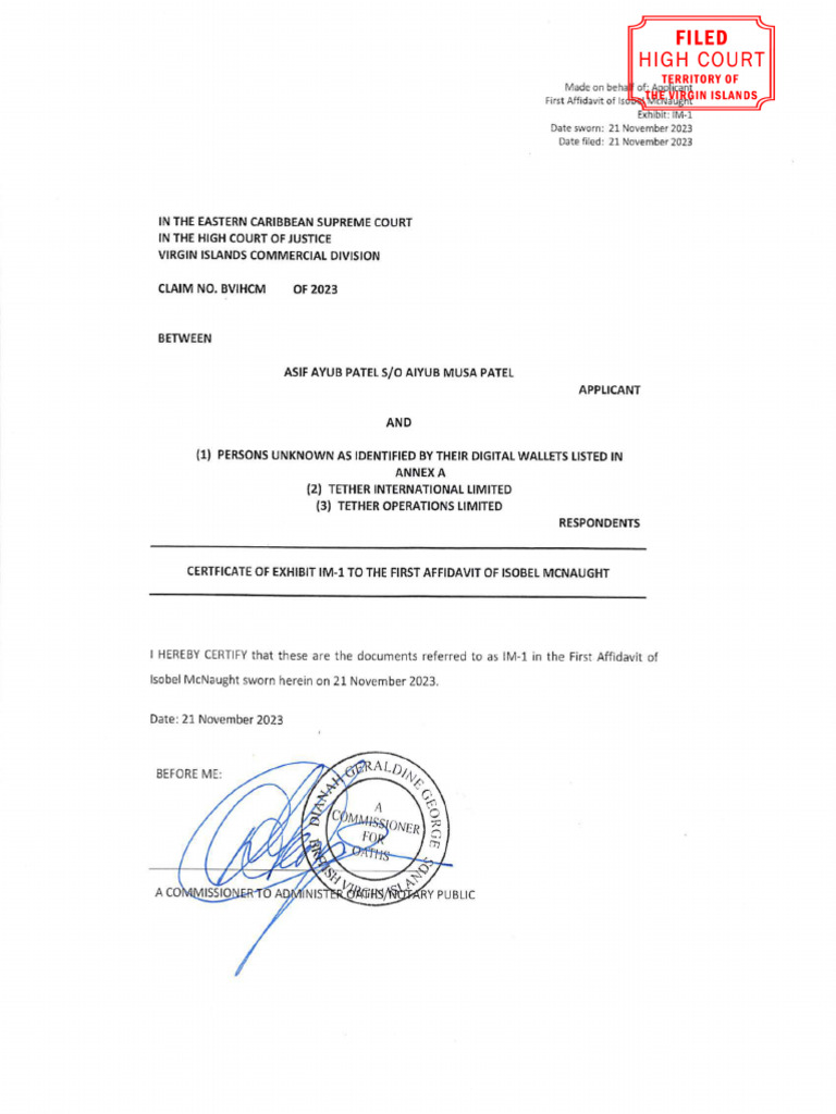 Freezing Injunction Application by Patel | PDF | Computer Virus ...