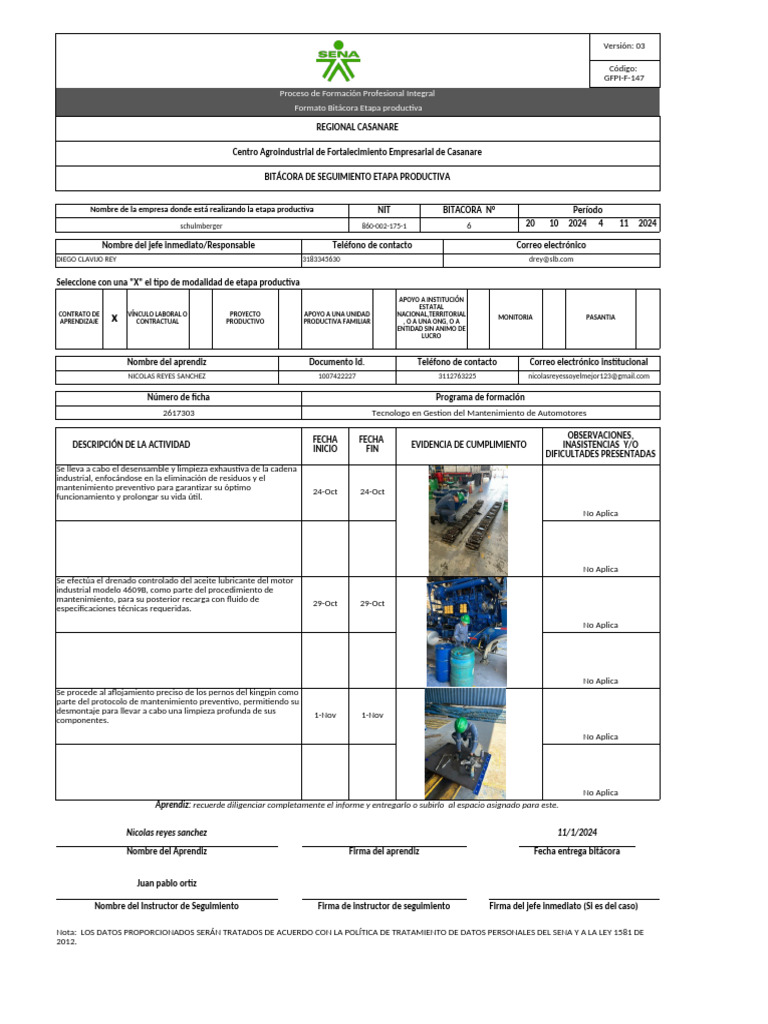 Bitácora de Práctica Profesional 2024 | PDF