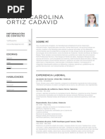 Temas de HySat Medallia | PDF