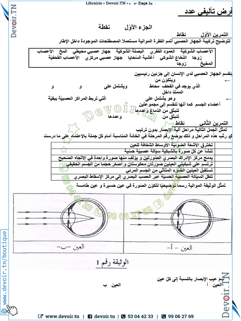 devoir-de-synthèse-n°1--2019-2020(mr-tounsi-anas) | PDF
