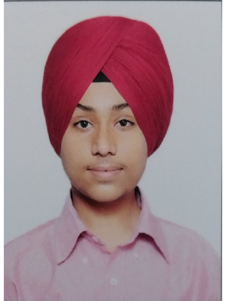 Arshpreet singh 2024CSE1353 | PDF Arshpreet singh 2024CSE1353 | PDF