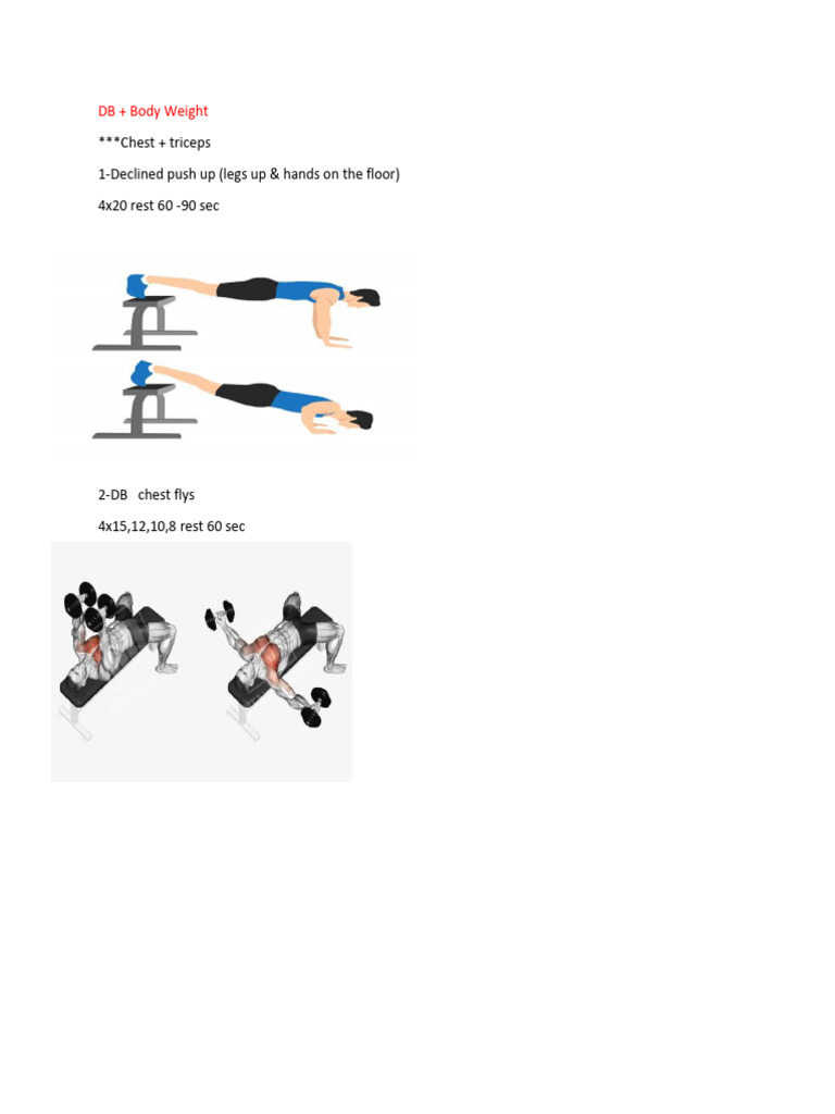 Full-Body Dumbbell Workout Plan | PDF