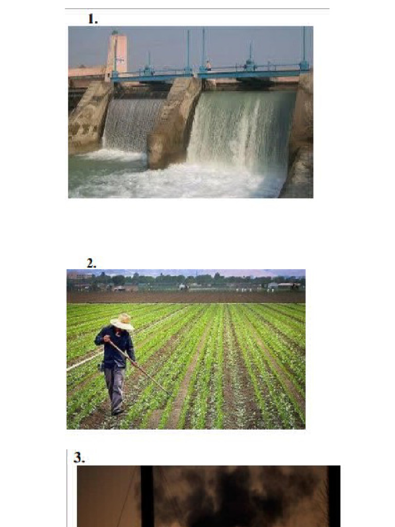 Sts Quiz Final | PDF