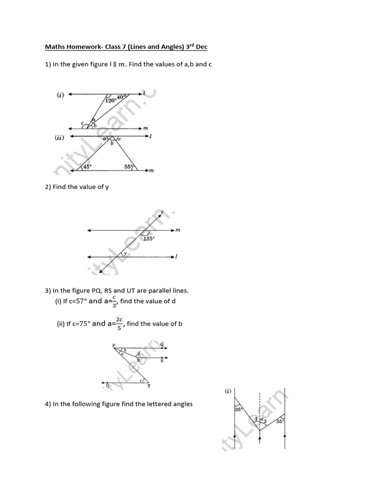 Class 7 Maths: Lines and Angles Homework | PDF