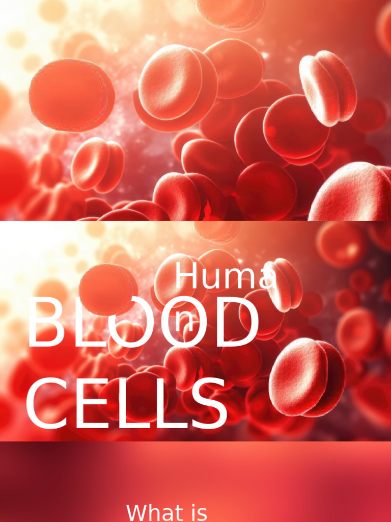 Human Blood Cells | PDF | Blood | Blood Cell