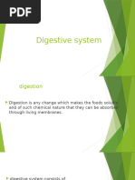 The Digestive System - Grade 6 | PDF | Digestion | Small Intestine