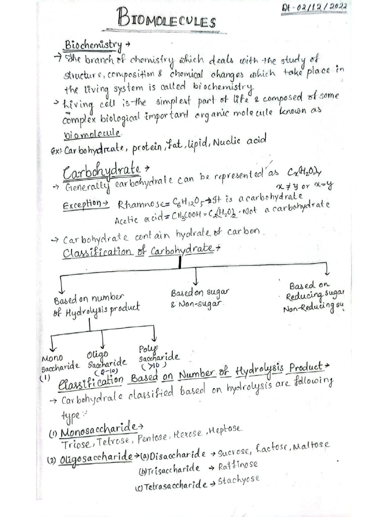 BIOMOLECULES | PDF
