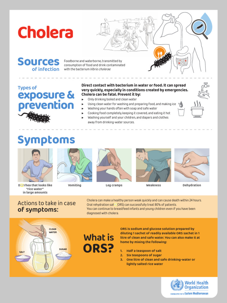 Cholera Sources of Infection | PDF | Cholera | Epidemiology