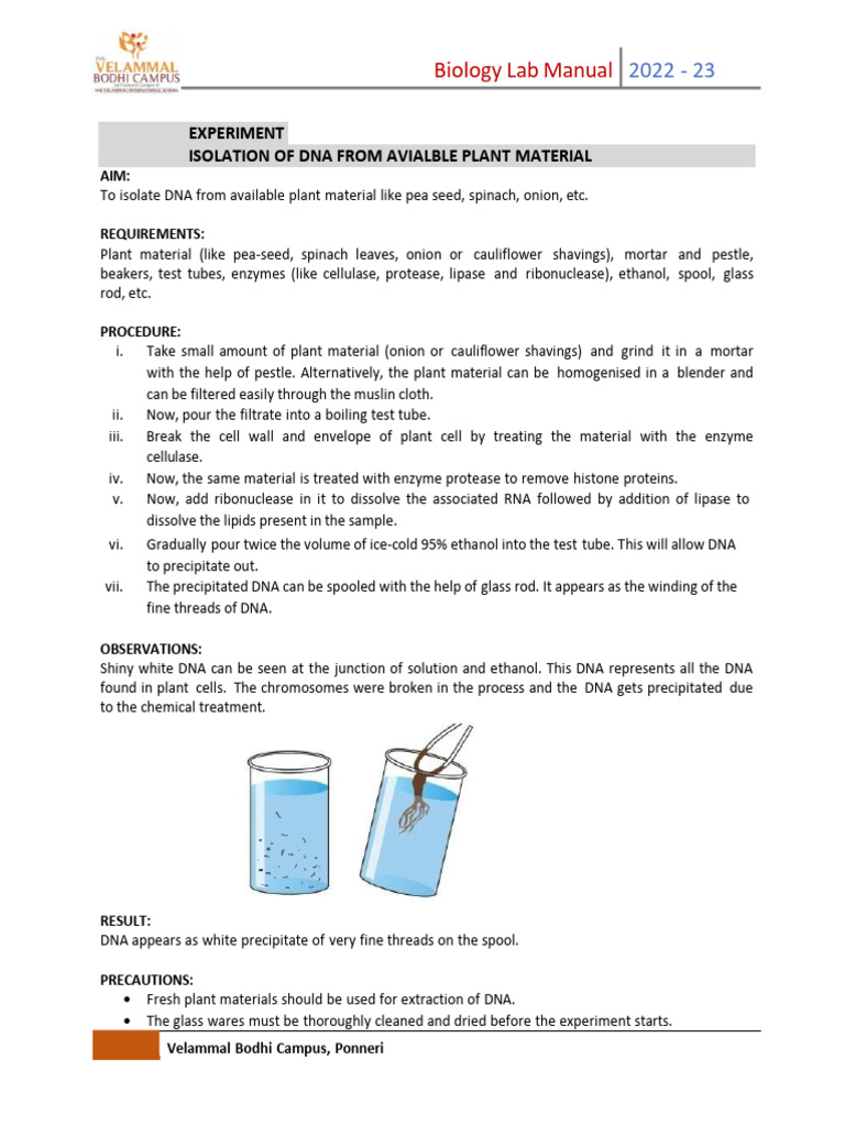 DNA Isolation from Plant Material | PDF