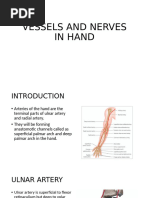 Kaplan's Cardinal Line in Hand Anatomy | PDF | Hand | Finger