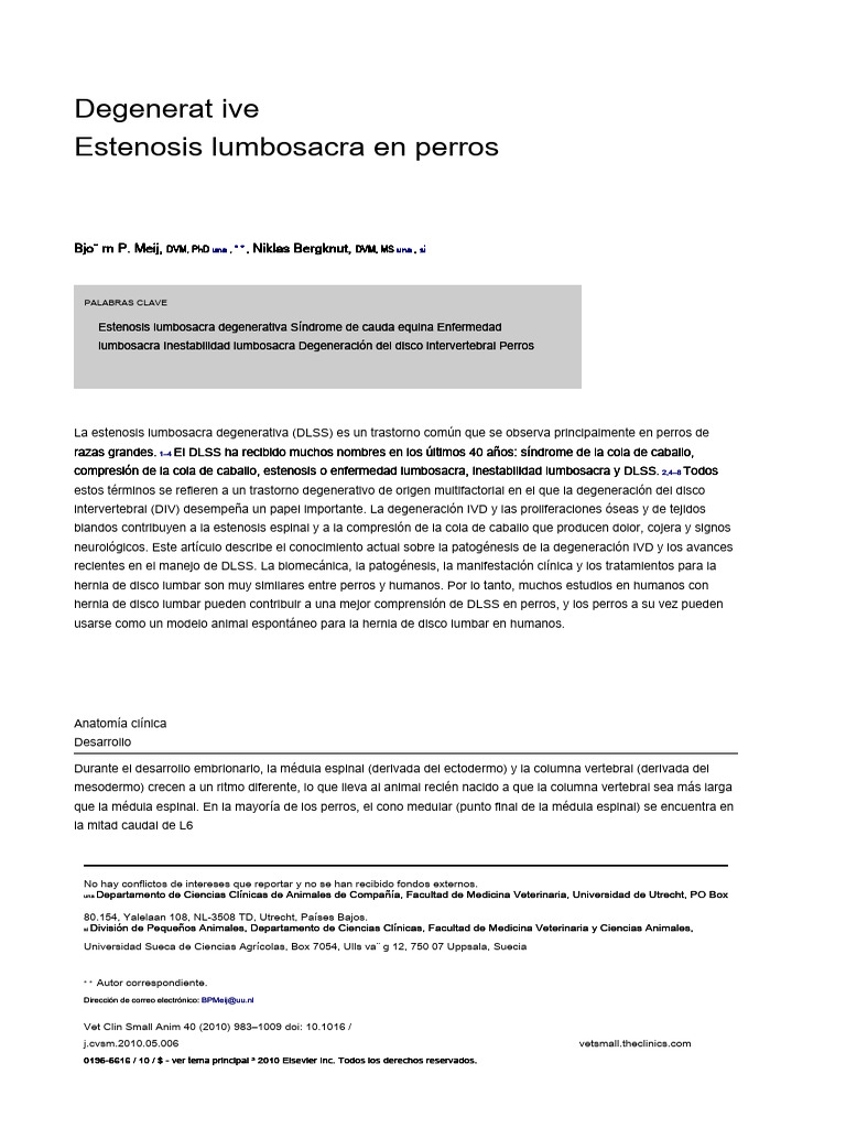 Degenerative Lumbosacral Stenosis in Dogs.en.es | PDF | La columna ...