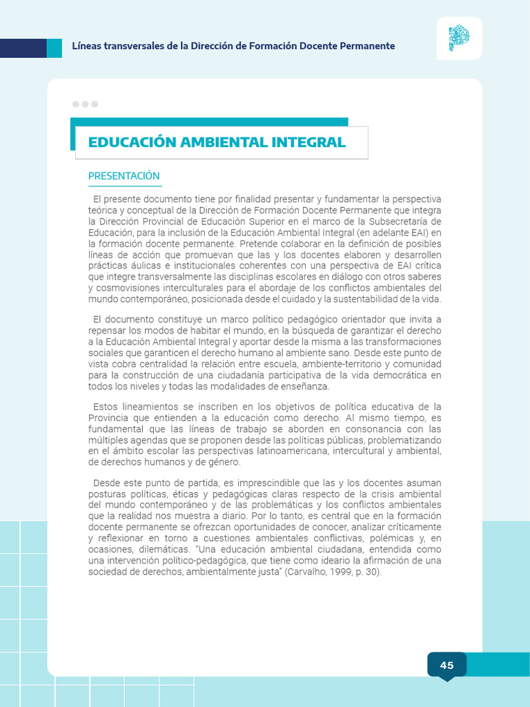 L Neas Transversales de La Direcci N de Formaci N Docente Permanente 10 Julio 45 57 | PDF ...