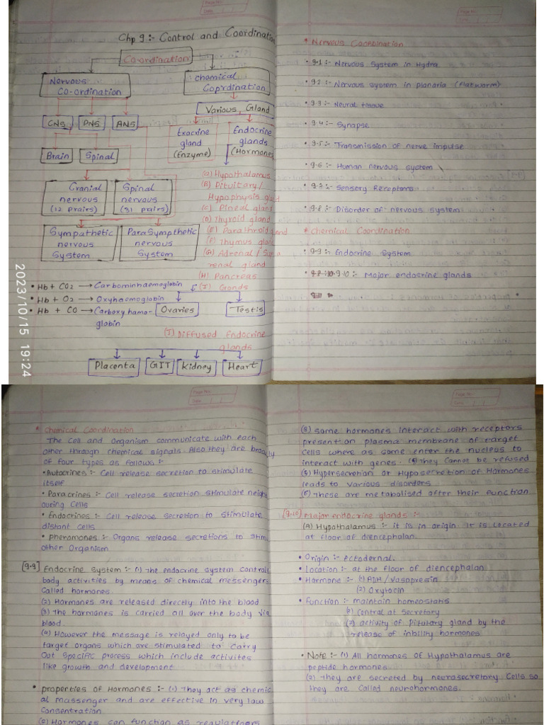 Chp 9 Control and Coordination | PDF