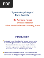 Non Ruminant Digestive System | PDF | Digestion | Stomach