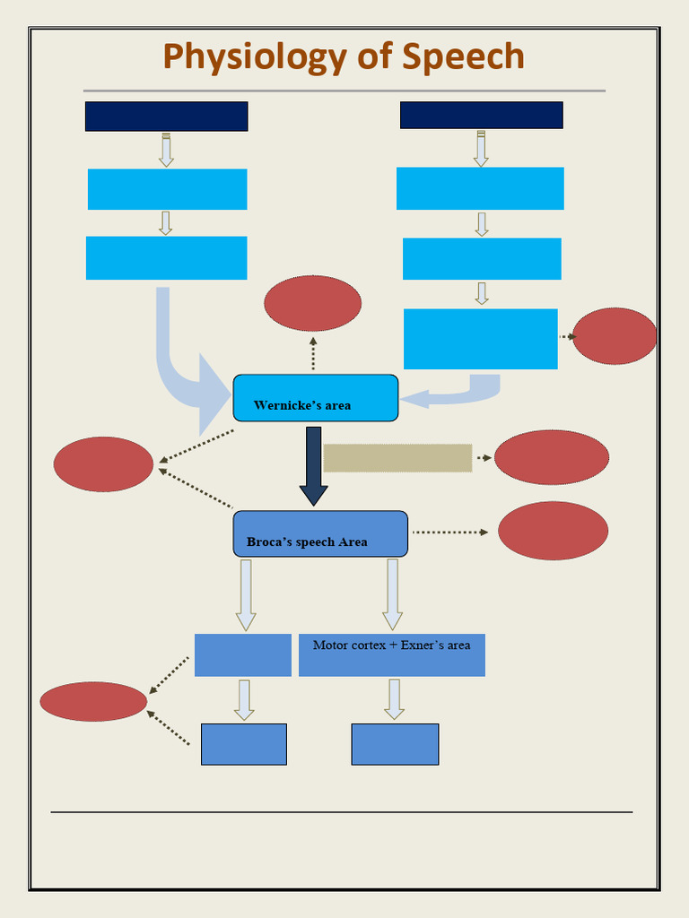 Flow Chart Physiology of Speech JP | PDF