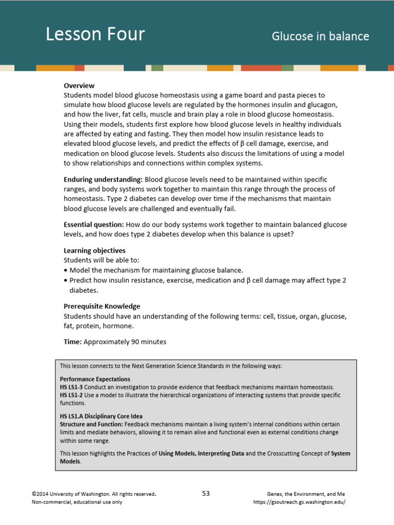 Blood Glucose Homeostasis Lesson | PDF | Glucose | Insulin