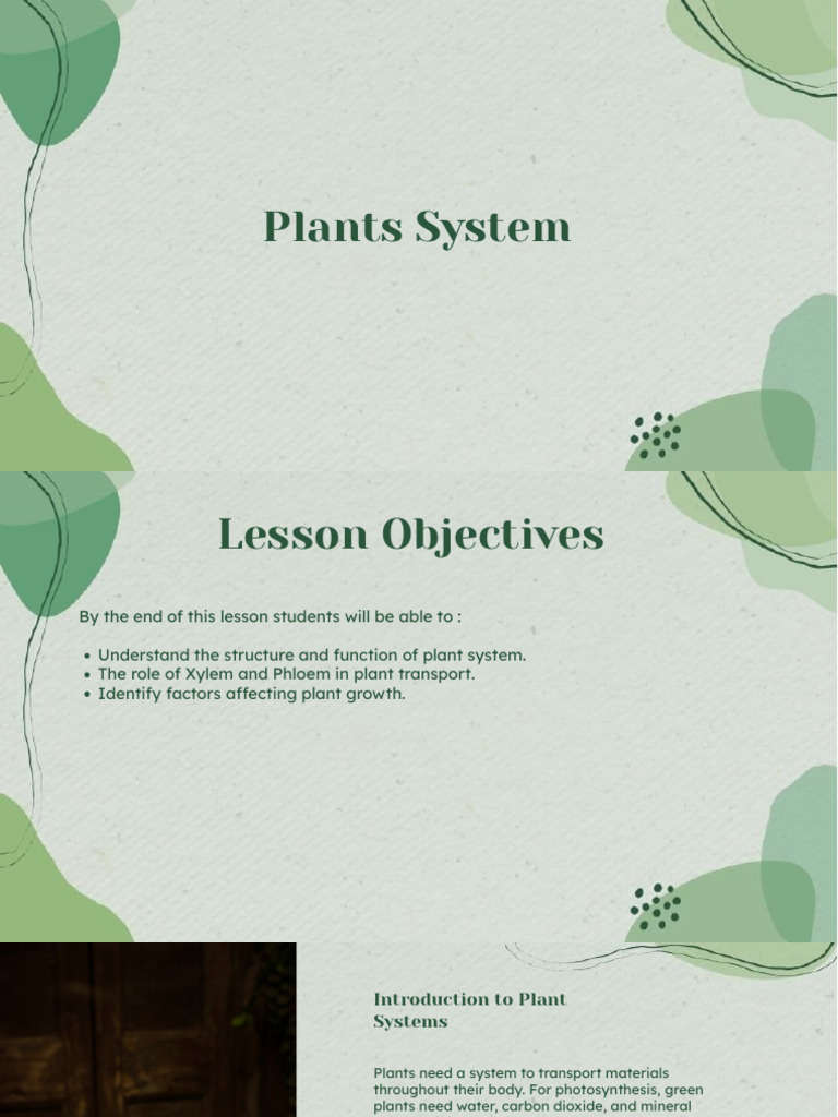 Slidesgo Exploring The Complexities of Plant Systems Structure Function ...
