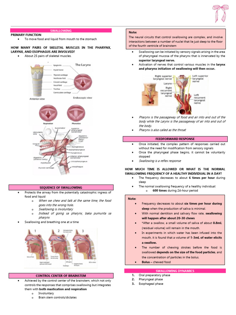 Oral Physiology Deglutition | PDF | Esophagus | Vomiting